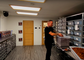 How To Process a ReptiChip Block Easily [Video Review] | Expert Tips ...