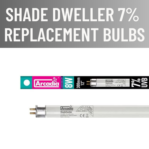 Arcadia ProT5 UVB Bulb 7% ShadeDweller – Premium Reptile Lighting ...