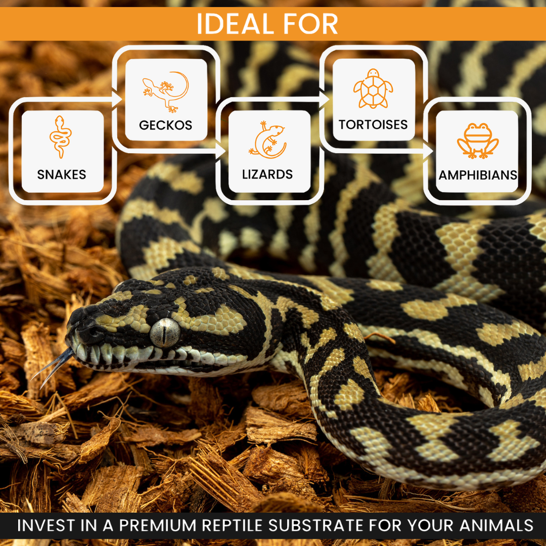 Finest Substrate For Your Medium-Sized Snake | ReptiChip LLC