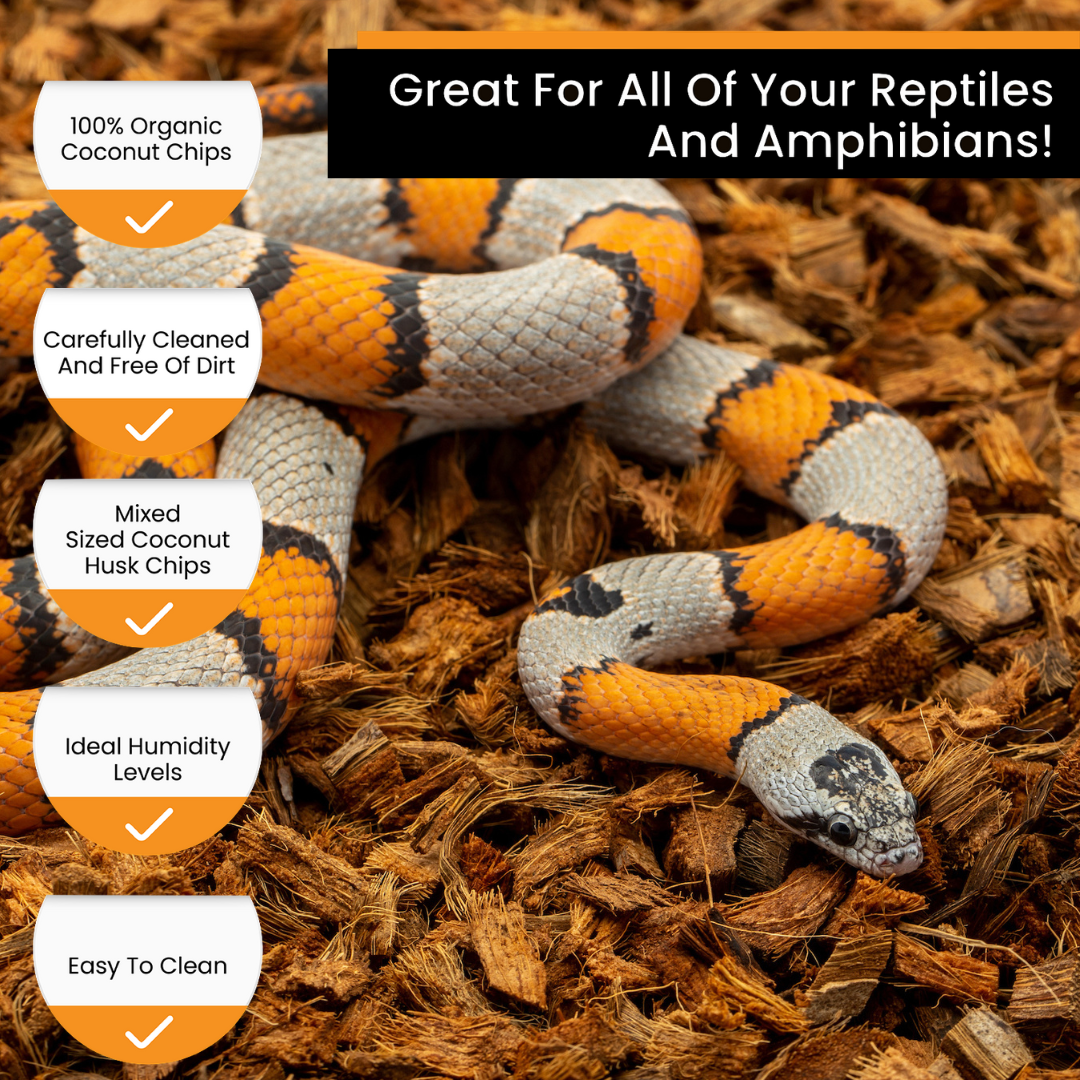 Premium Small Coconut Chip Substrate for Reptiles, Ready to Use ...
