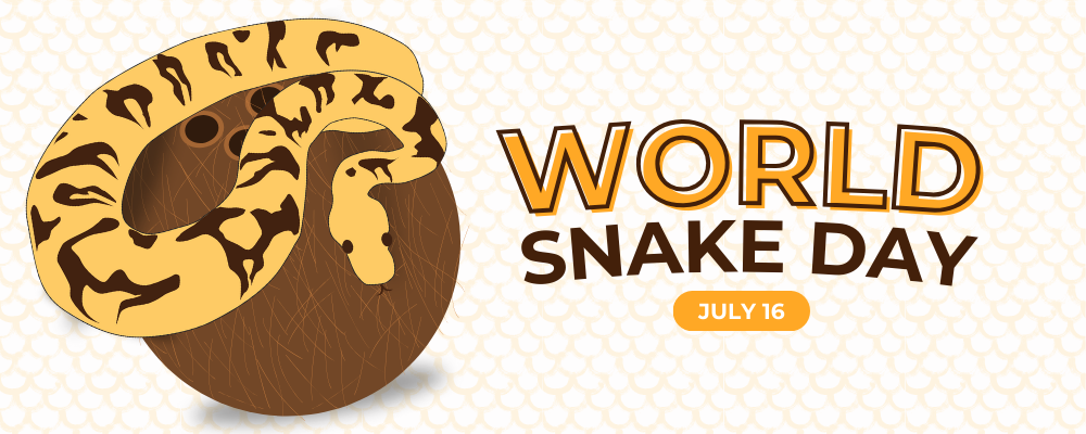 World Snake Day - ReptiChip LLC