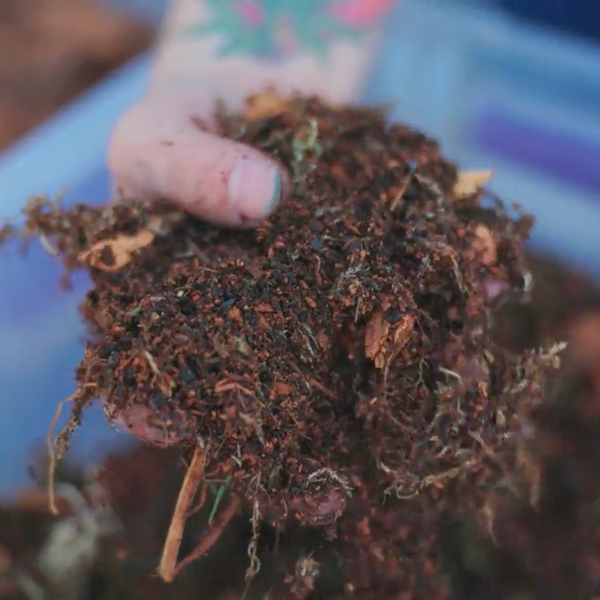 TropicalBase Terrarium Mix Substrate Ready to Use | ReptiChip LLC