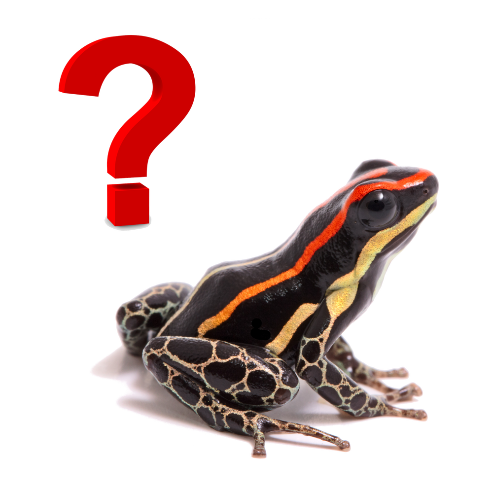 Contact ReptiChip | We’re Here to Help with Your Reptile Substrate ...