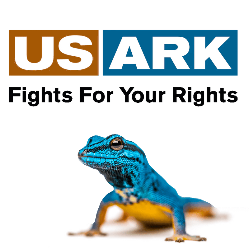 Best Products From Reptile Enthusiasts | ReptiChip LLC